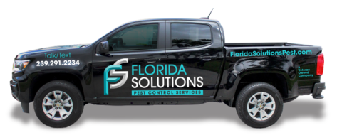 Professional Pest Control Services Company Fort Myers FL - Residential ...
